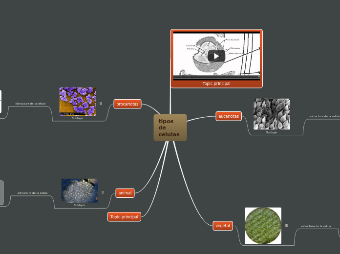 tipos de celulas - Mind Map